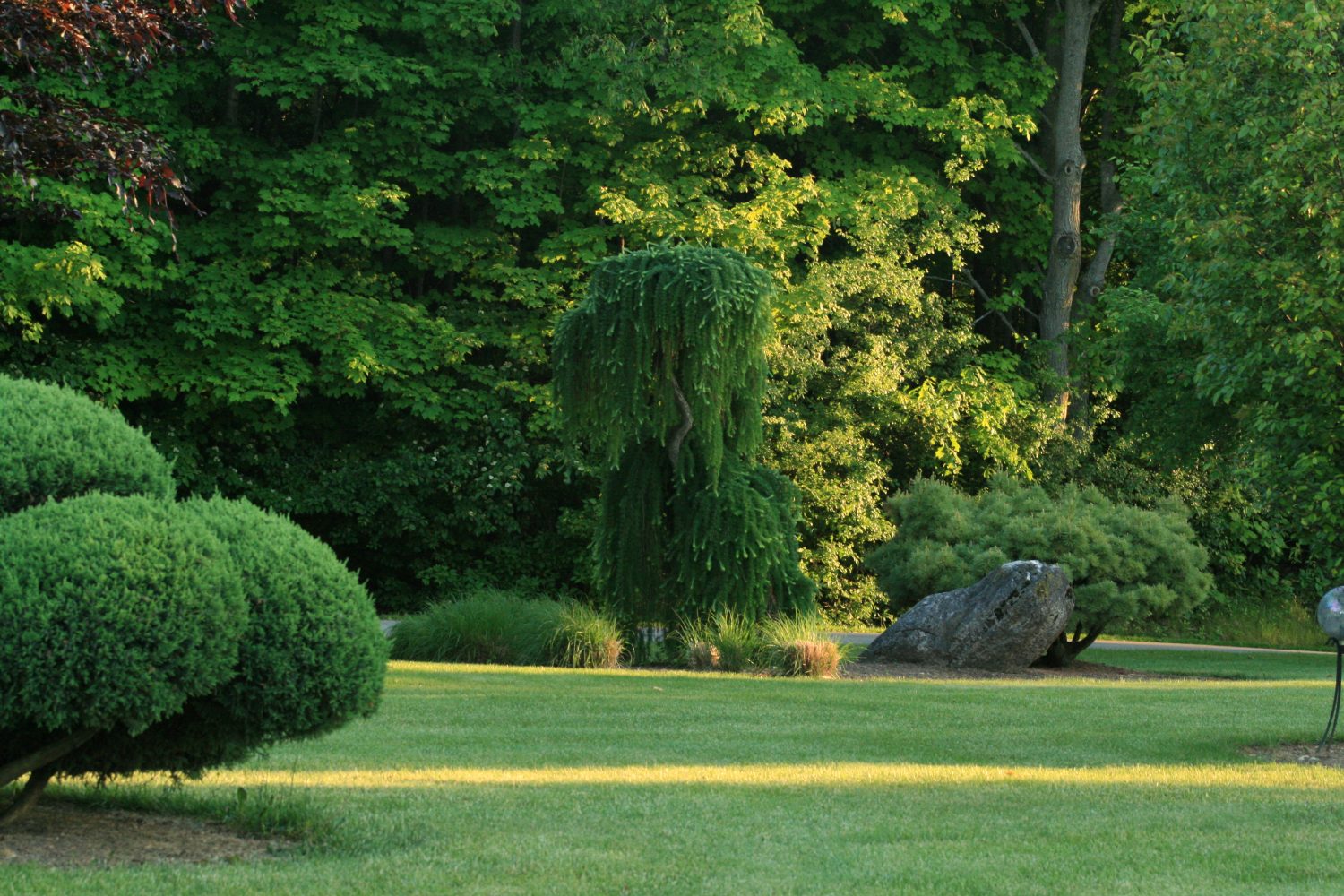 Residential Landscape Services • Rustic Road Landscaping
