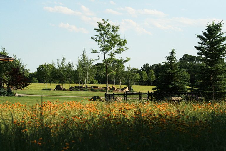 Residential Landscape Services • Rustic Road Landscaping